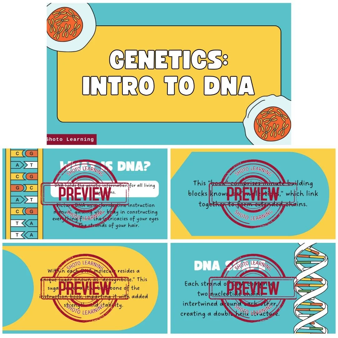 DNA Structure & Replication Mastery Worksheet | Fill in the Blank