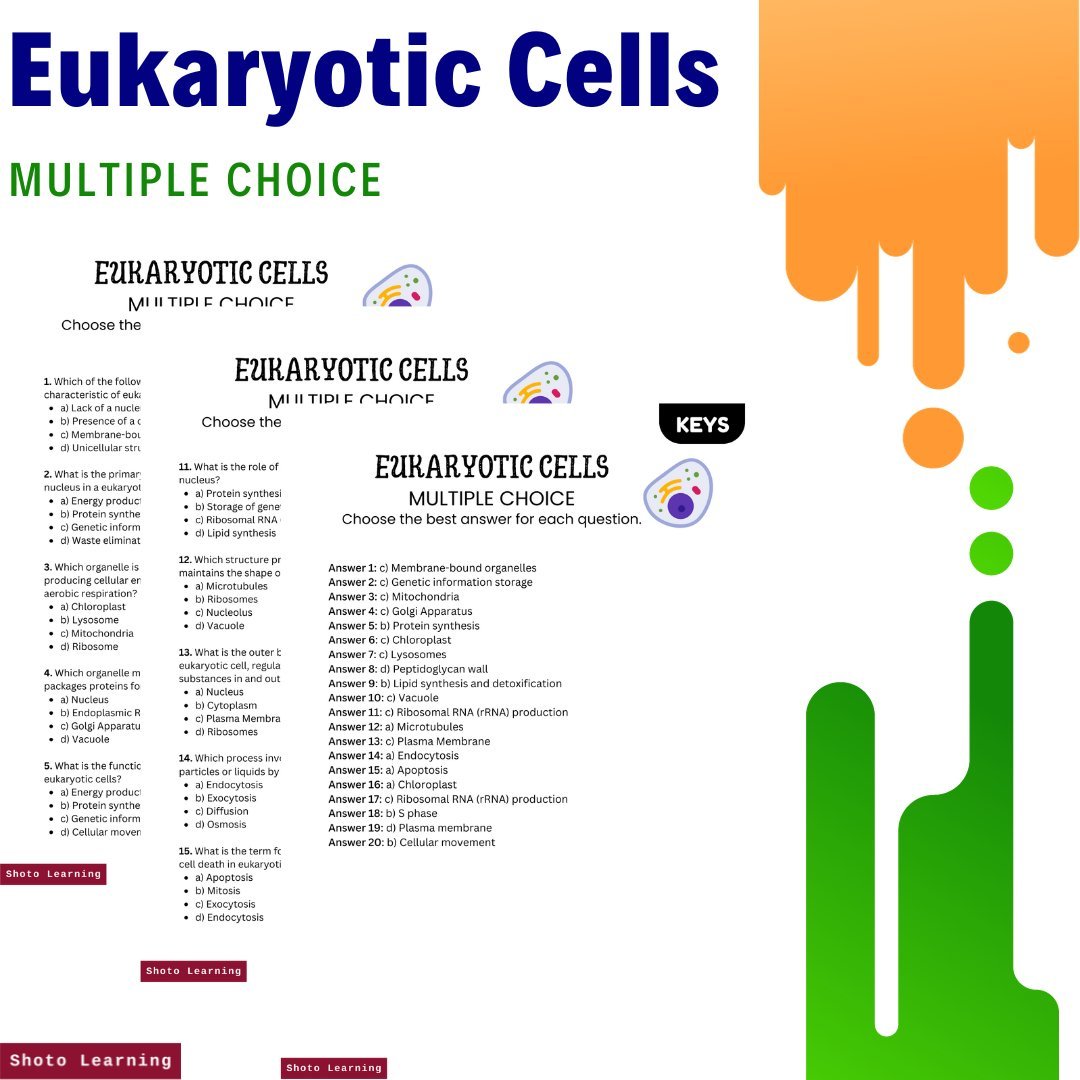 Eukaryotic Cell Matching Worksheet – Organelles & Functions