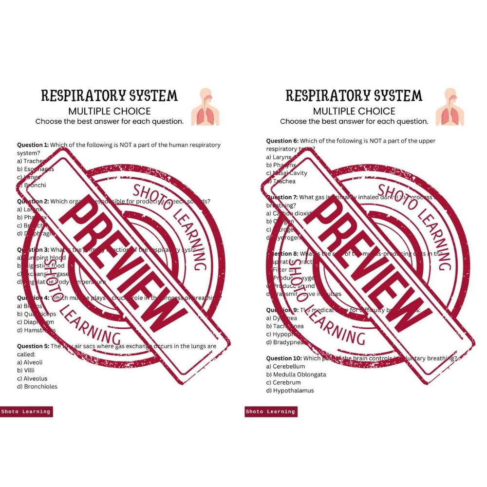 Respiratory System Poster: Learn Anatomy & Function | Free Download