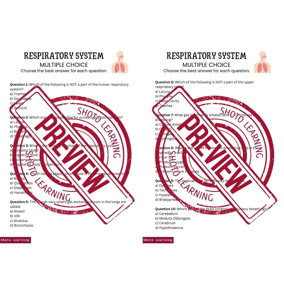 Respiratory System Diagram: Fill in the Blanks and Learn