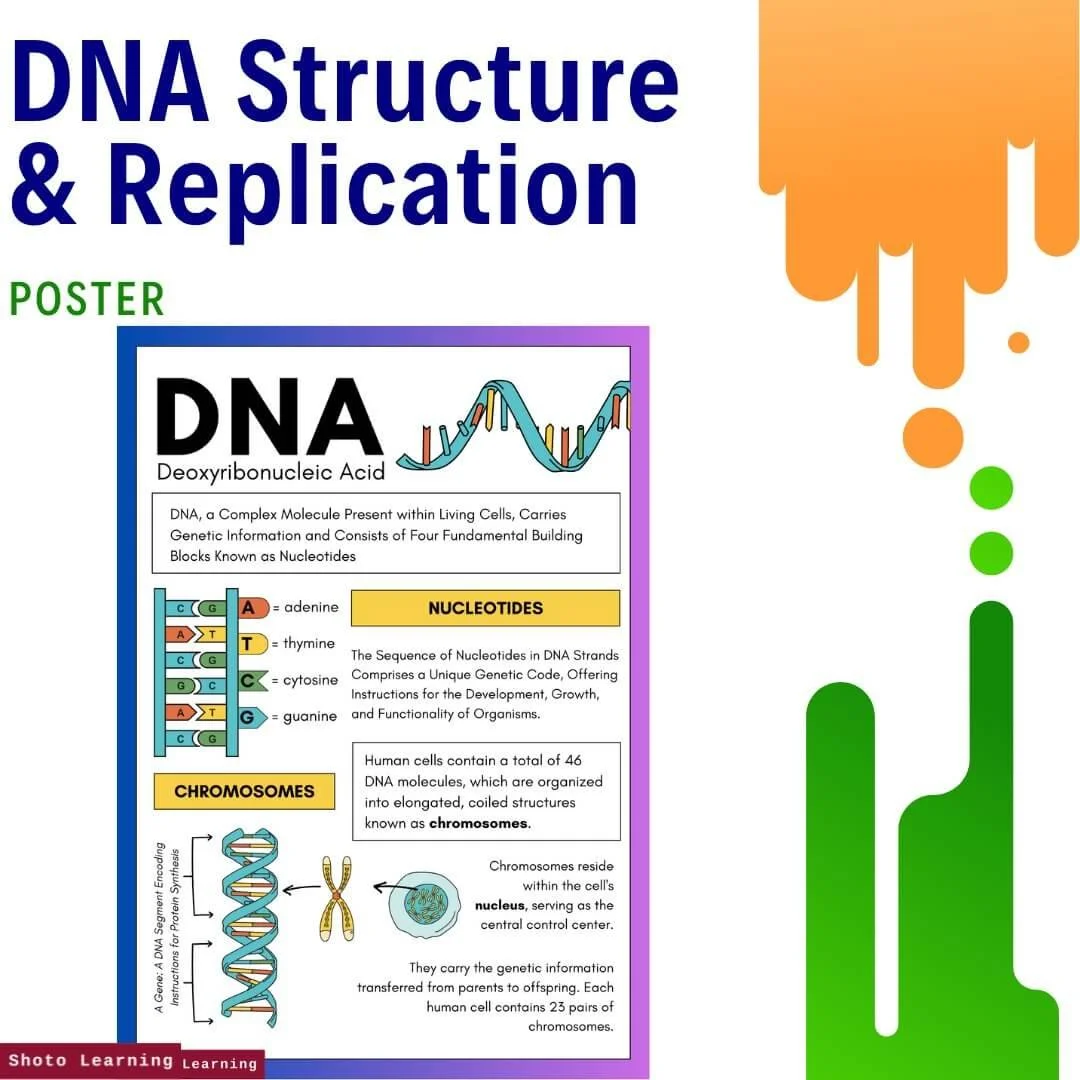 DNA Structure & Replication Mastery Worksheet | Fill in the Blank