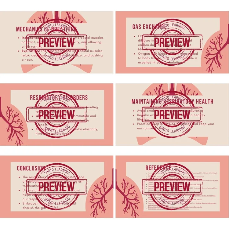 Respiratory System Diagram: Fill in the Blanks and Learn