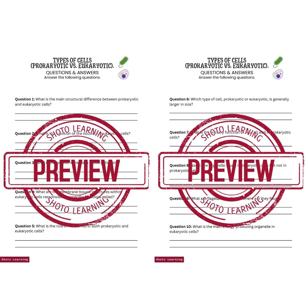 Biology Worksheet Bundle: Prokaryotic vs Eukaryotic Cells