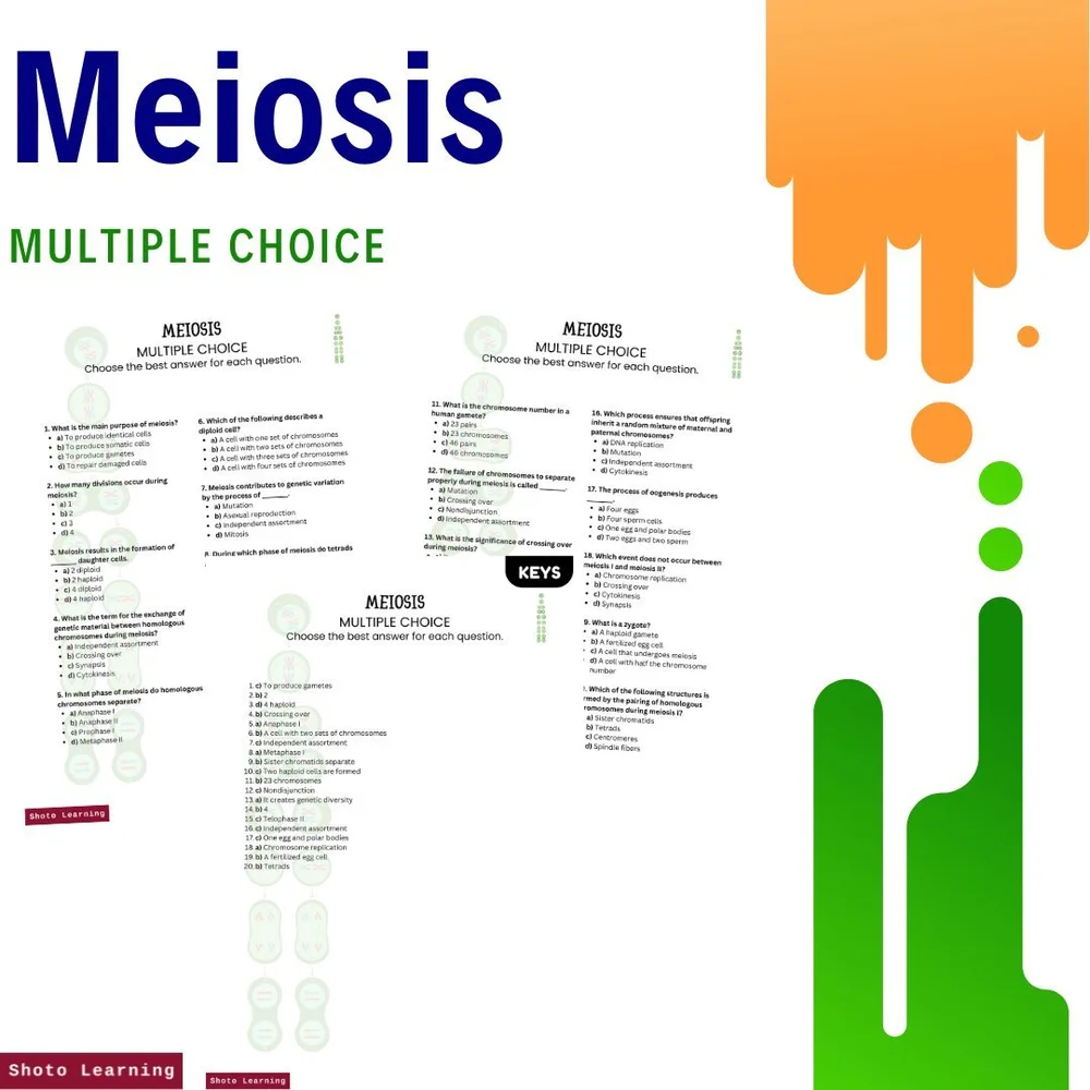 Meiosis Short Questions & Answers Worksheet | 20 Questions PDF