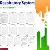 Respiratory System Diagram: Fill in the Blanks and Learn
