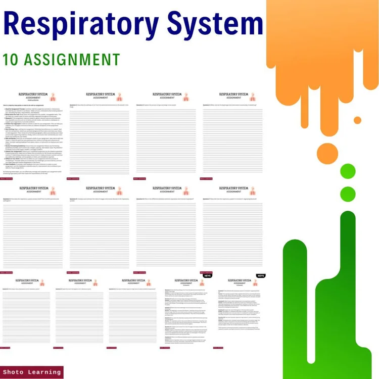 Respiratory System Diagram: Fill in the Blanks and Learn