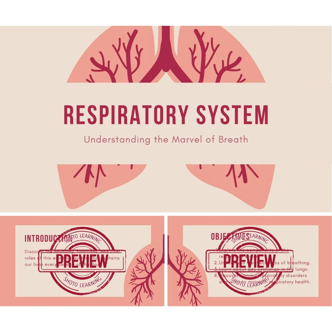 Respiratory System Diagram: Fill in the Blanks and Learn