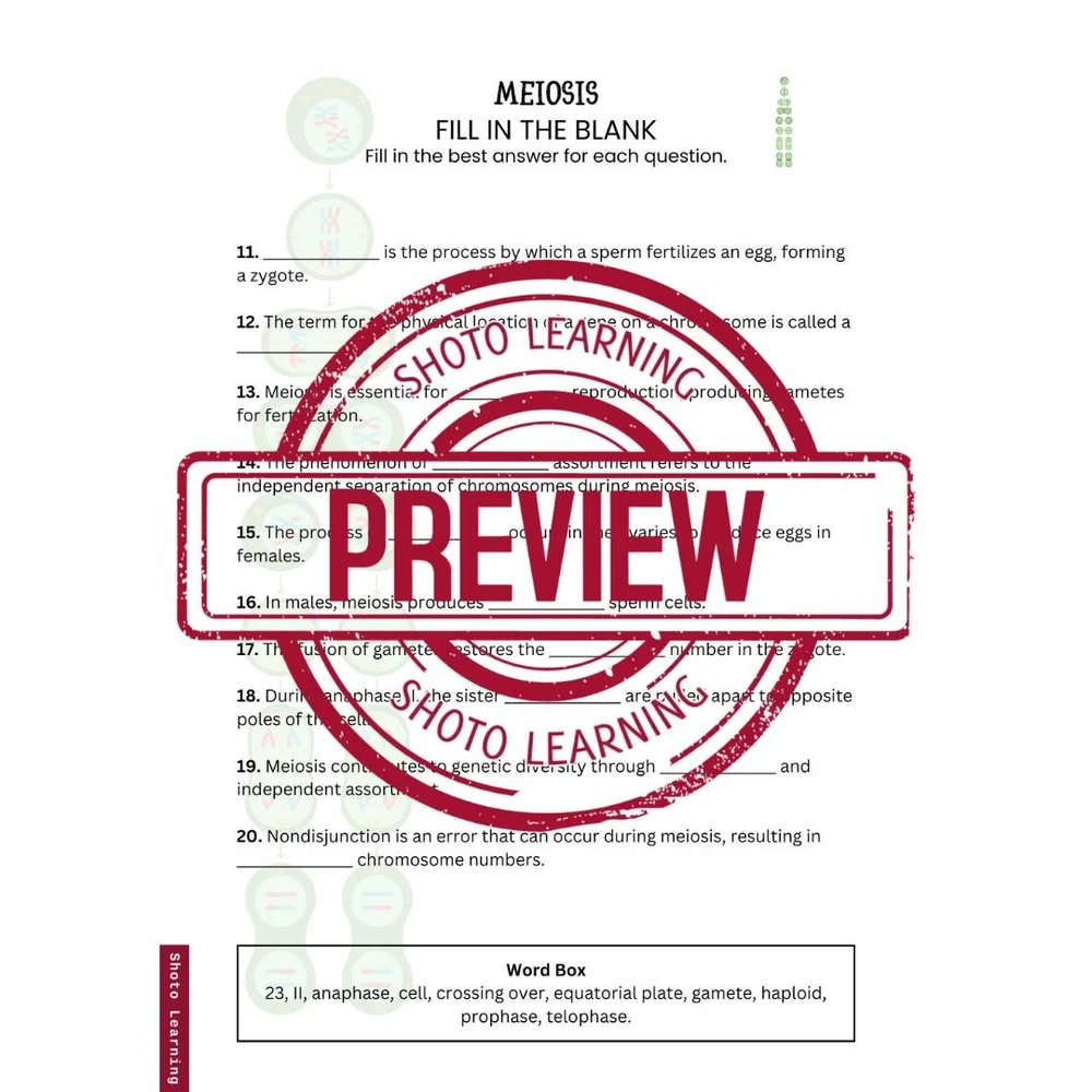 Meiosis Process Poster – Visual Cell Division Guide | PDF Download