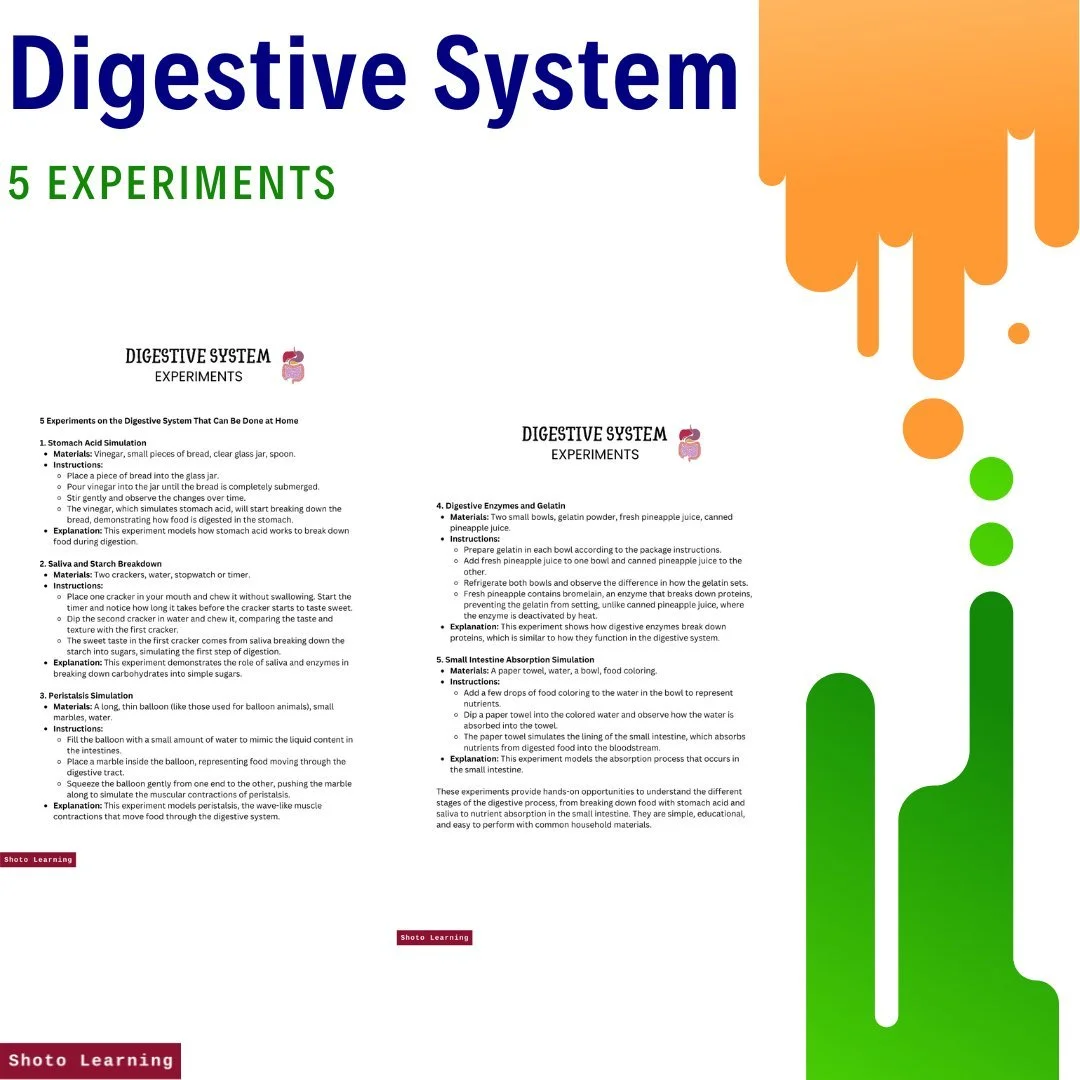 Digestive System Vocabulary Scramble Activity Worksheet