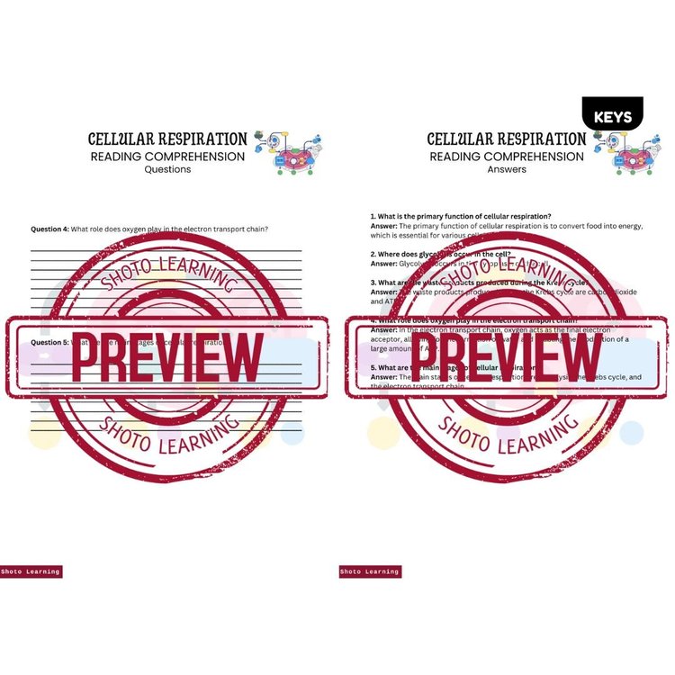 Cellular Respiration Label Worksheet | Word Box & Answer Key