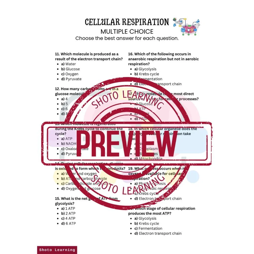 Cellular Respiration Label Worksheet | Word Box & Answer Key