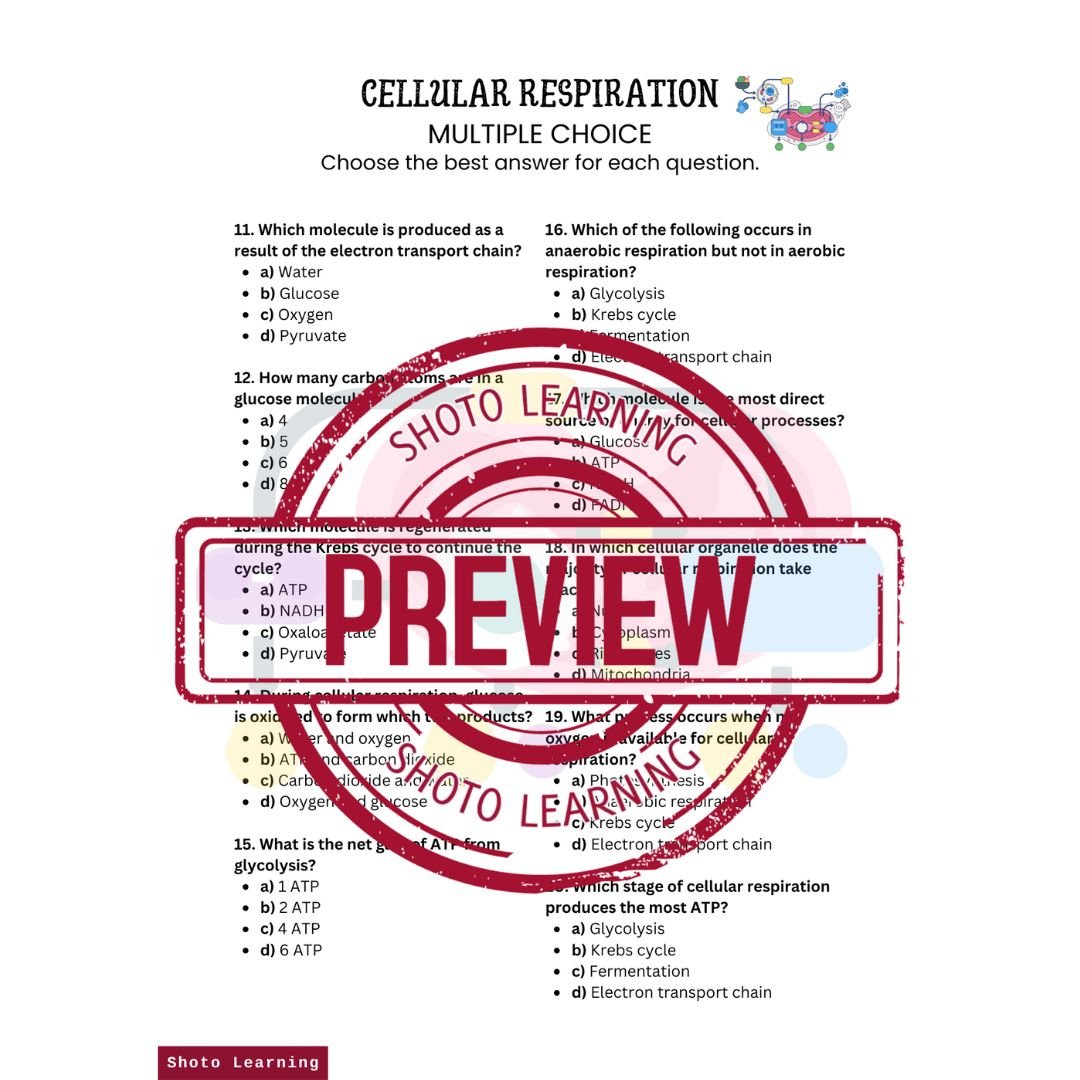 Cellular Respiration Matching Worksheets – 20 Questions & Answer Key