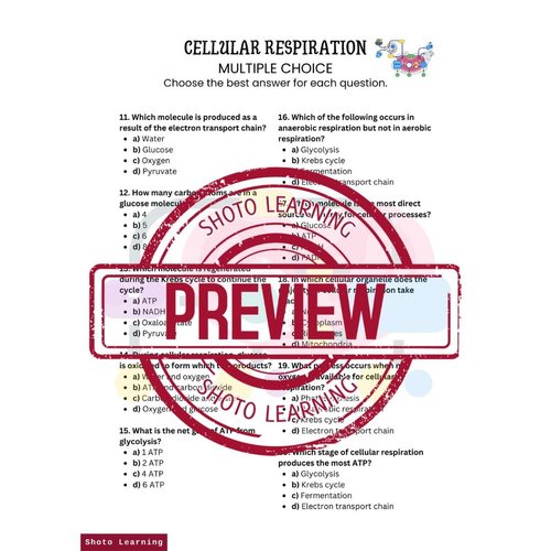 Cellular Respiration Label Worksheet | Word Box & Answer Key