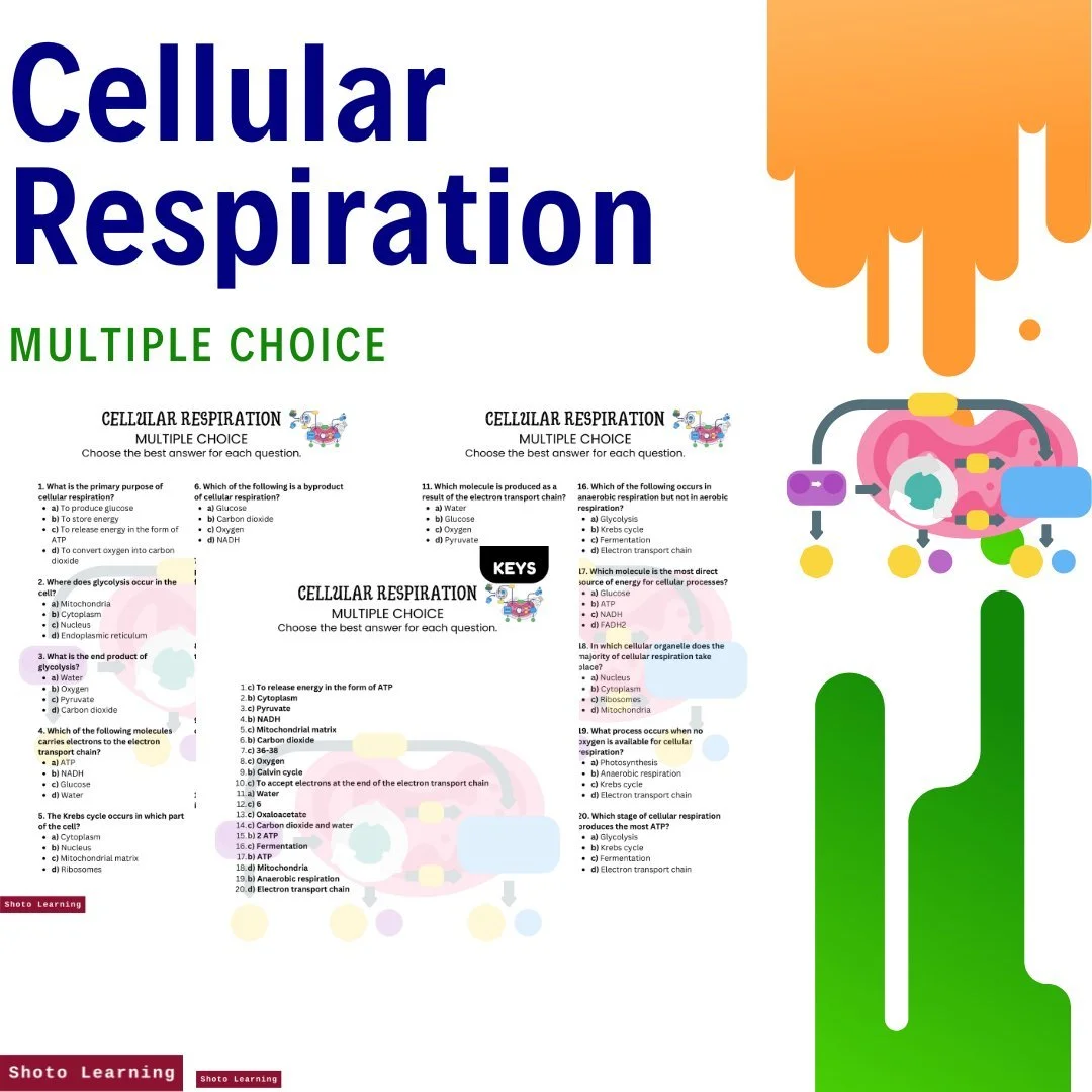 Cellular Respiration Label Worksheet | Word Box & Answer Key