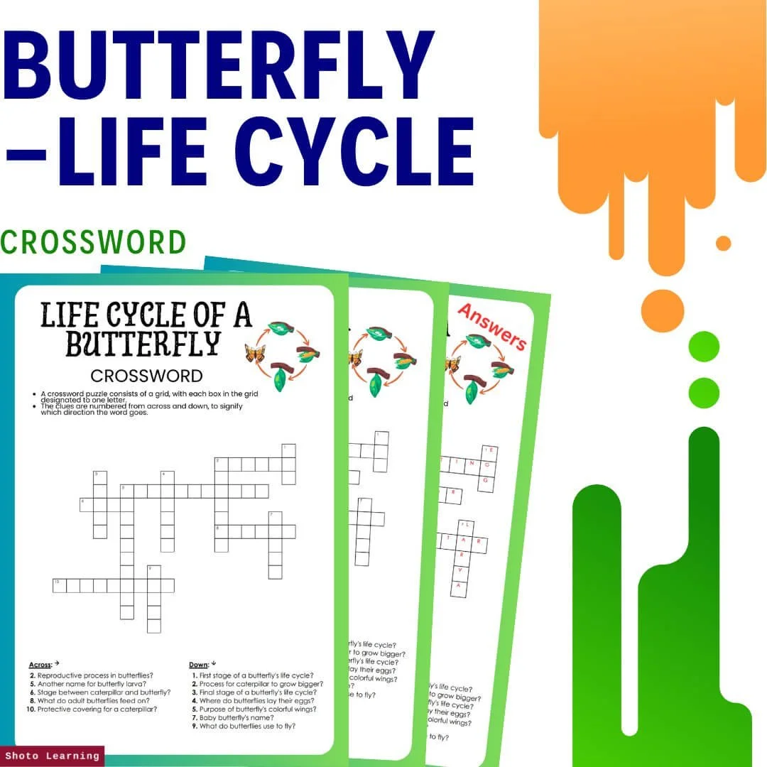 Butterfly Life Cycle Worksheets: Fun & Educational Experiments