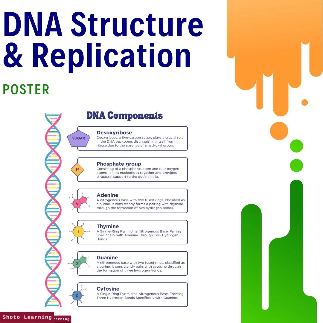 DNA Structure Worksheet: Engaging Exercises with Answers