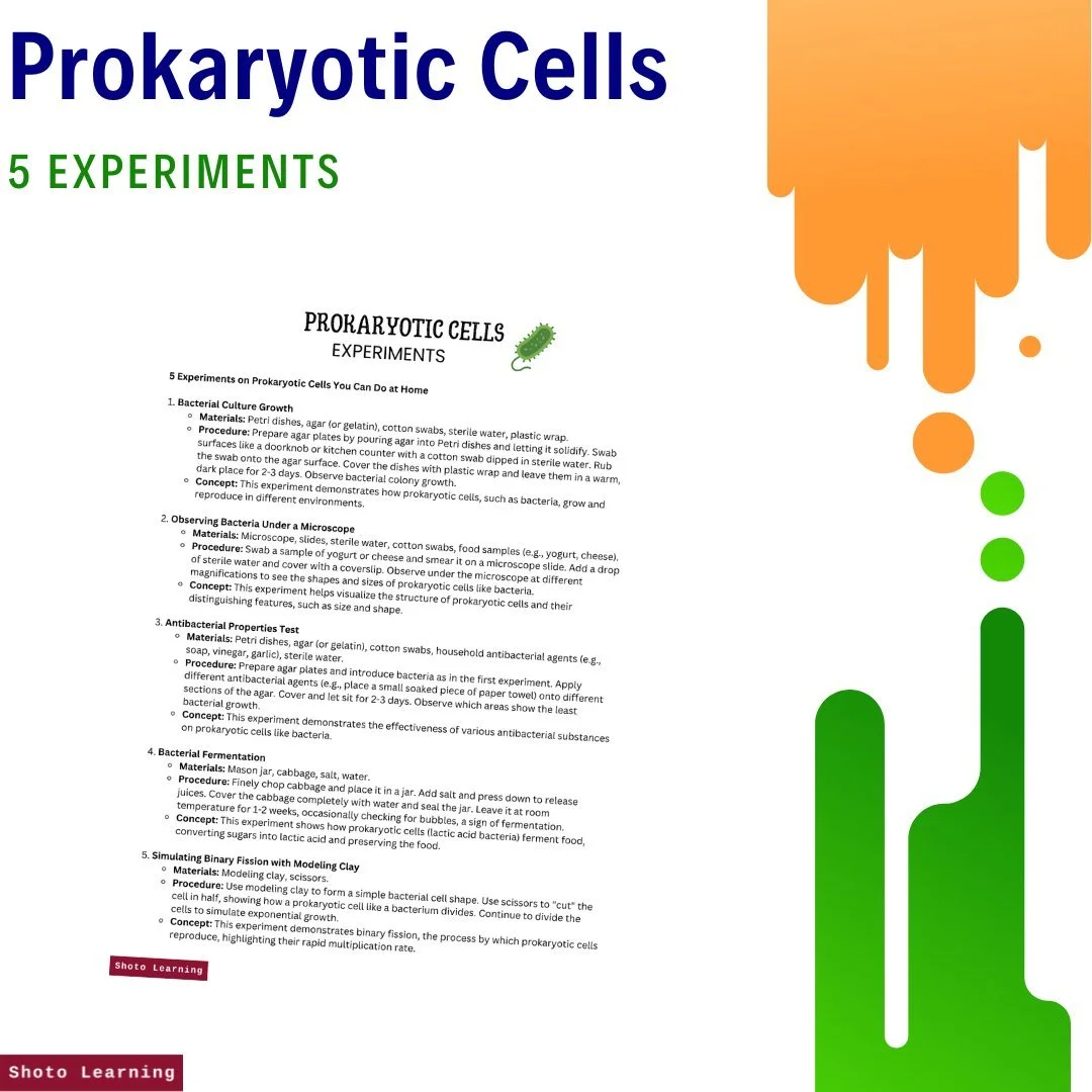 Prokaryotic Cell Mastery: Fill-in-the-Blank Worksheet