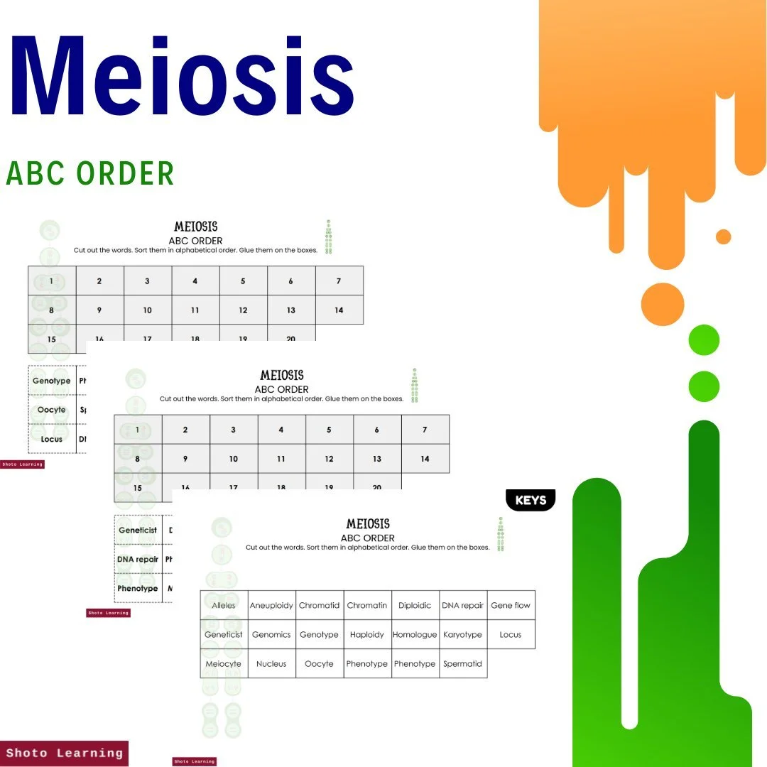 Meiosis Short Questions & Answers Worksheet | 20 Questions PDF