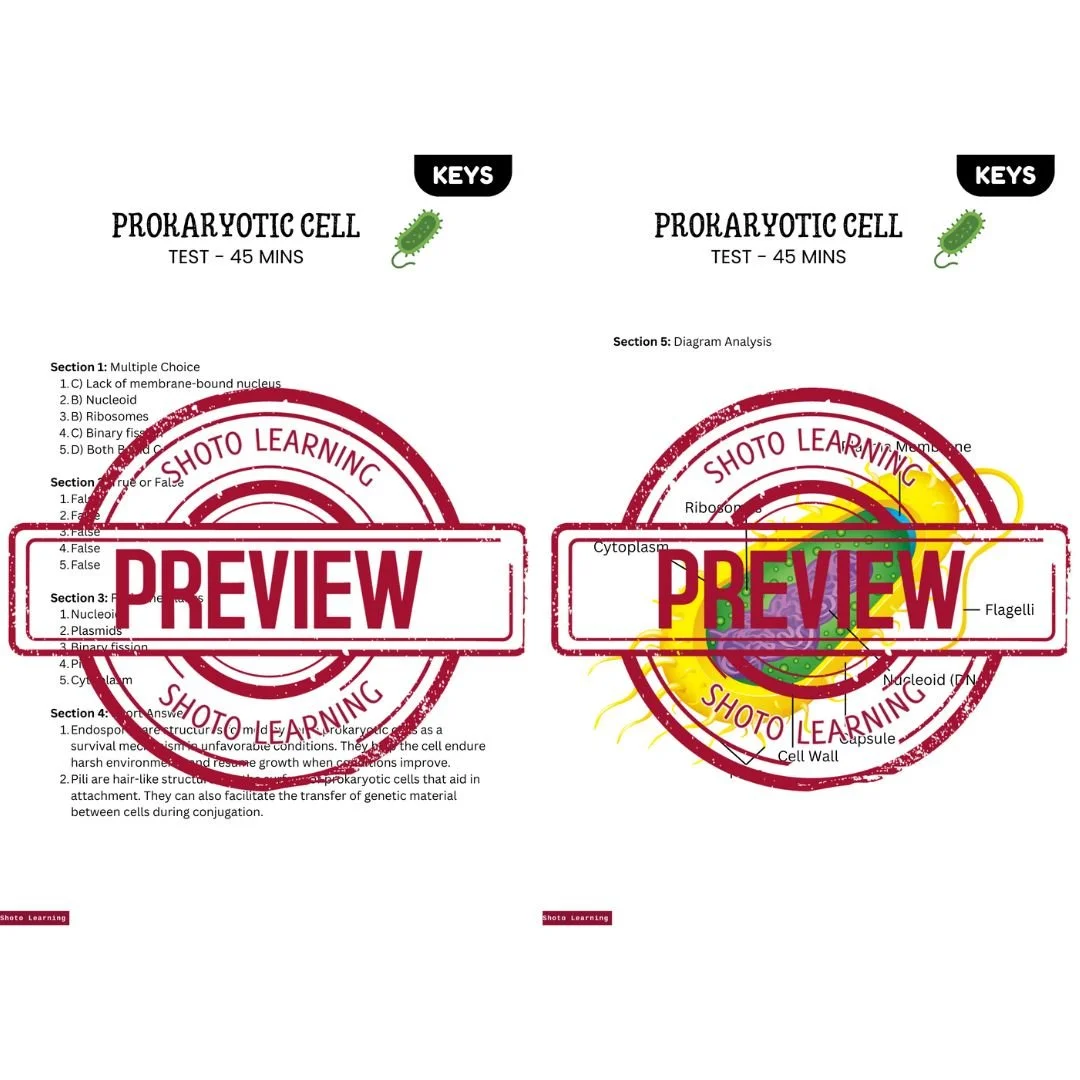 Prokaryotic Cell Q&A Mastery: 20 Questions & Answers