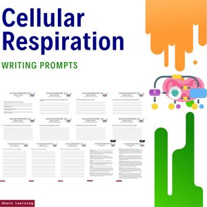 Cellular Respiration Label Worksheet | Word Box & Answer Key