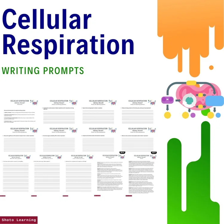 Cellular Respiration Label Worksheet | Word Box & Answer Key