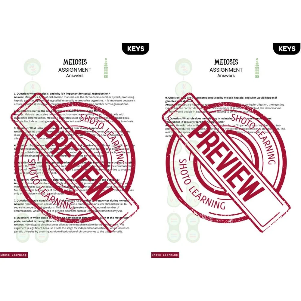 Interactive Meiosis Game Worksheet Bundle | Fun Learning Tools