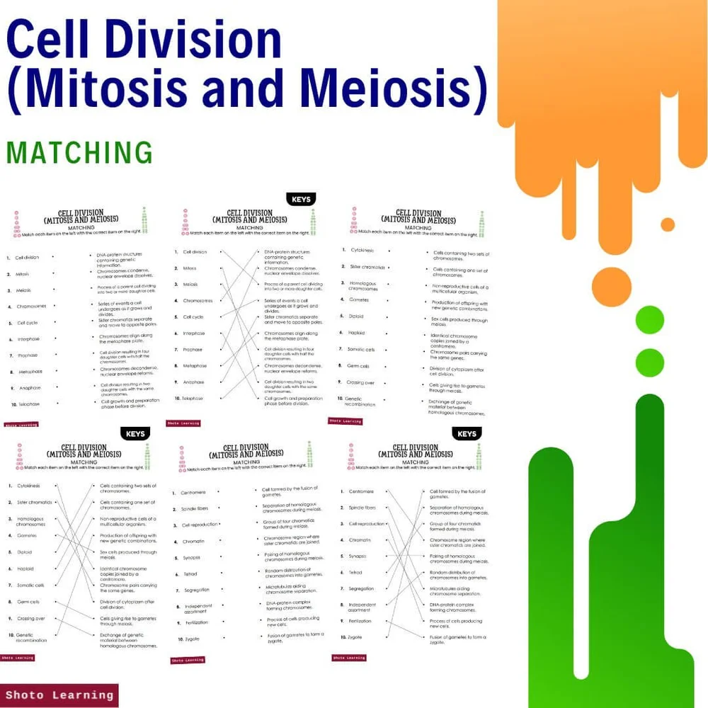 Cell Division Mastery Worksheet Bundle: Mitosis & Meiosis