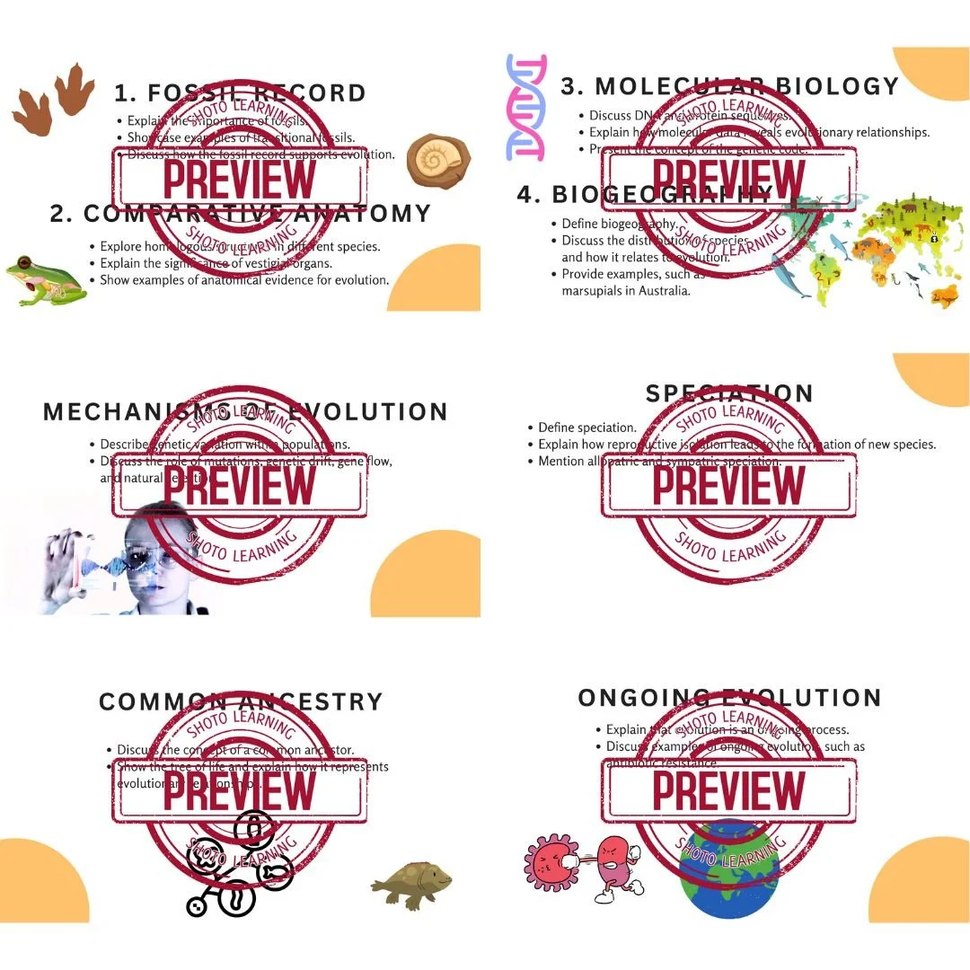 Theory of Evolution Poster: Explore Life’s Remarkable Journey