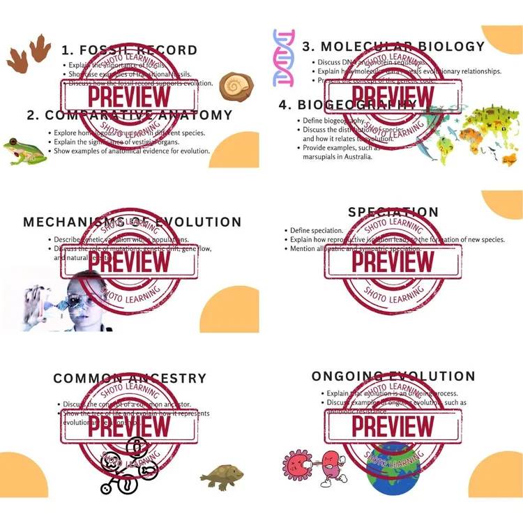 Theory of Evolution Poster: Explore Life’s Remarkable Journey