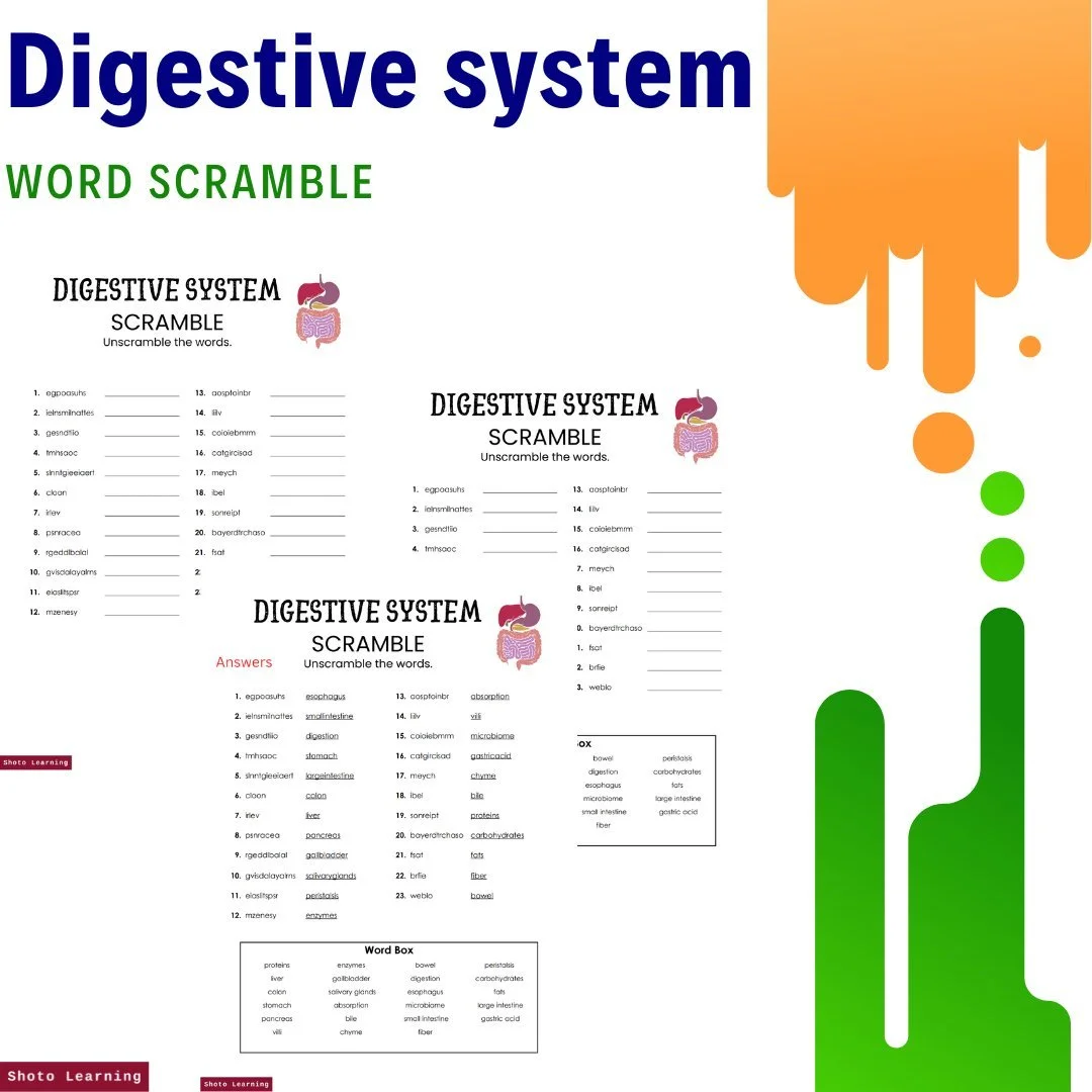 Free Digestive System Poster for Kids & Students