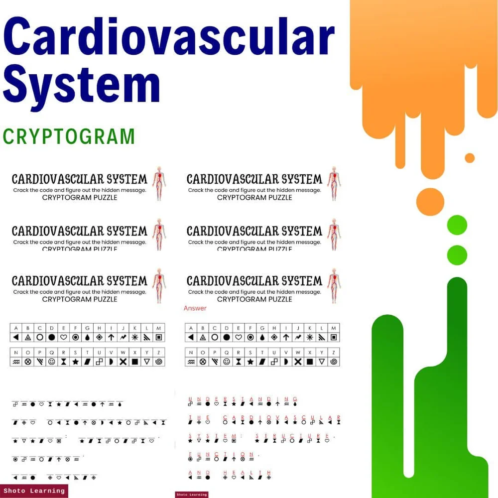 Cardiovascular System Missing Letter Worksheet for Kids