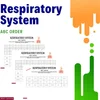 Respiratory System Diagram: Fill in the Blanks and Learn