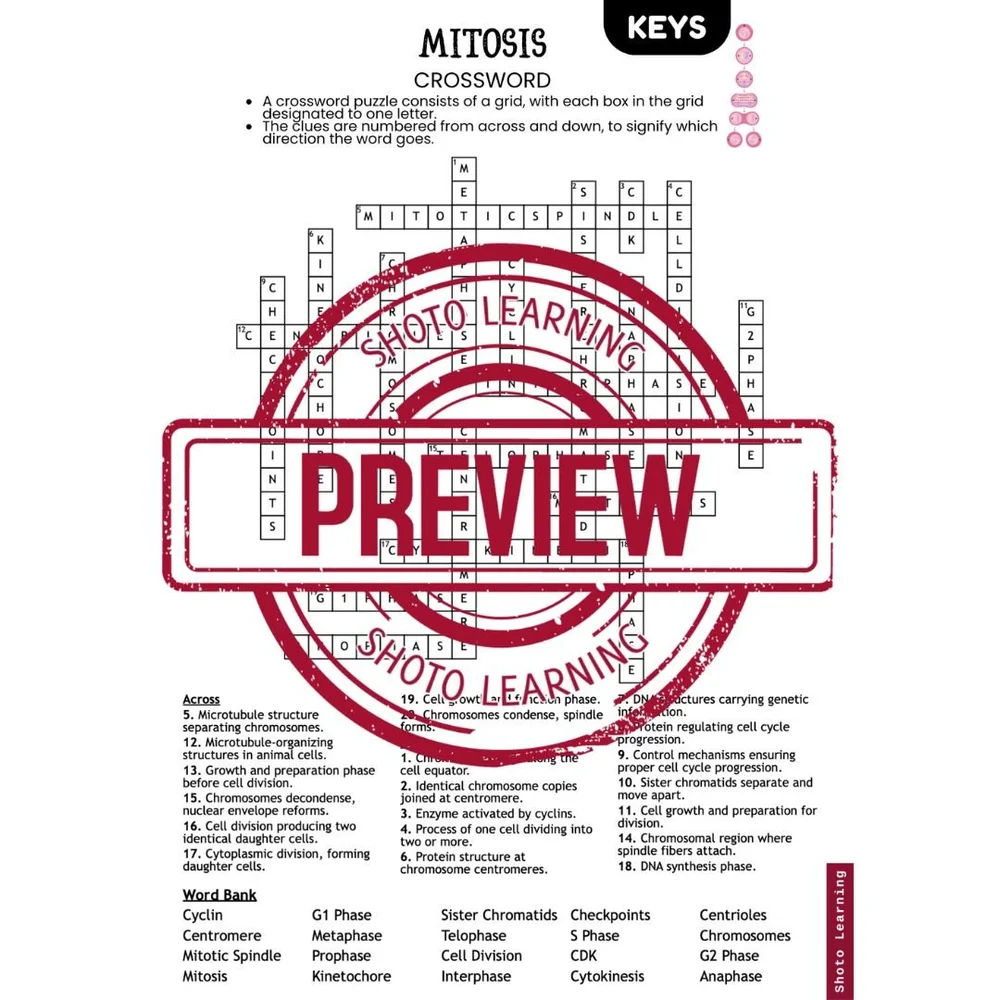 Mitosis Mystery Worksheet – Fun Missing Letter Activity
