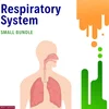 Respiratory System Diagram: Fill in the Blanks and Learn