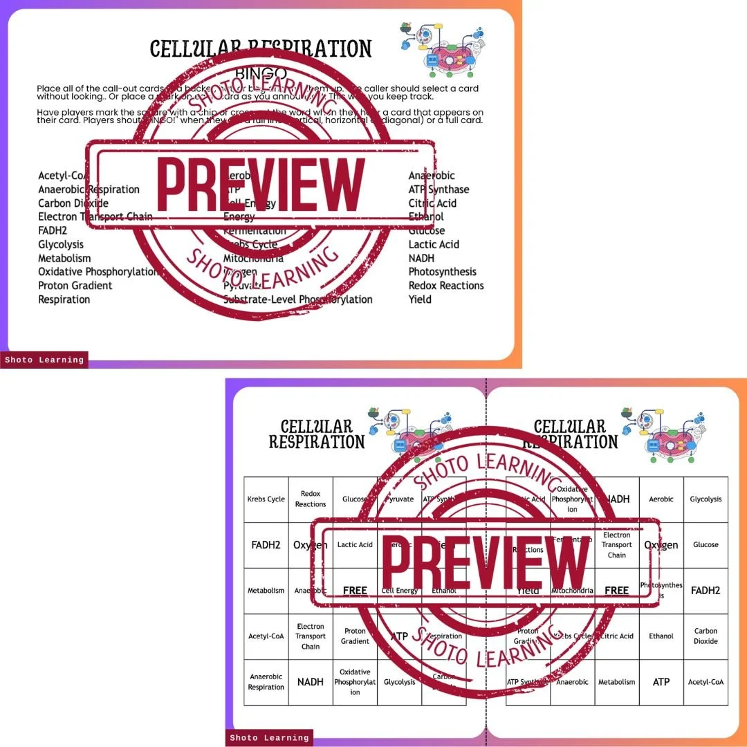 Cellular Respiration Label Worksheet | Word Box & Answer Key
