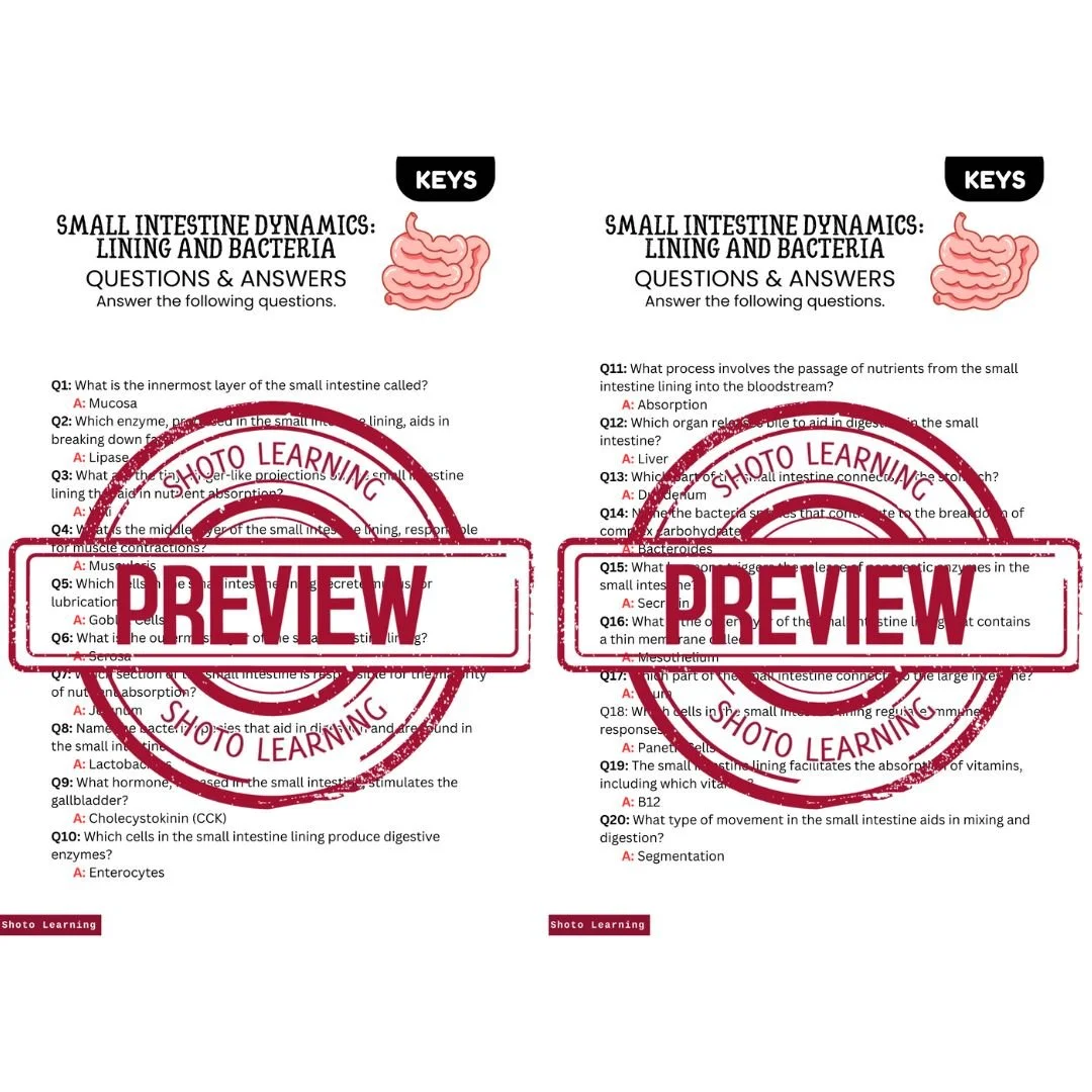 Small Intestine Word Search: Lining & Bacteria Puzzle