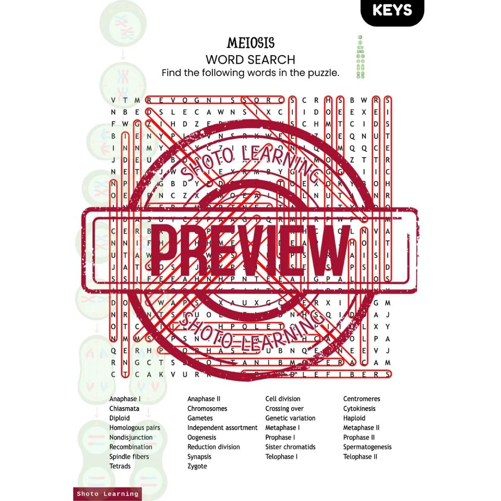 Meiosis Worksheet: 20 Fill-in-the-Blank Questions + Answer Key