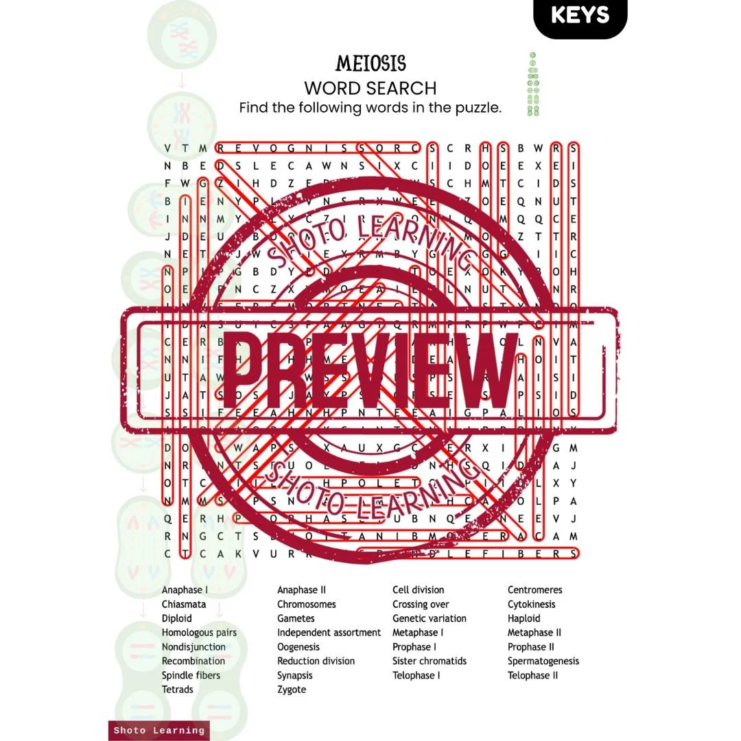 Meiosis Multiple Choice Worksheet | 20 Questions & Answer Key