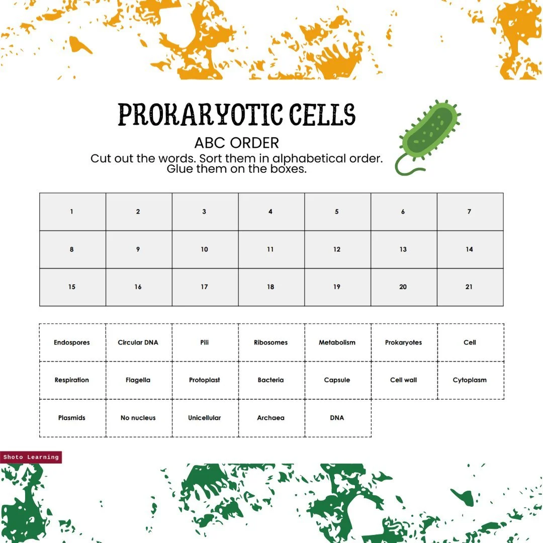 Prokaryotic Cell Mastery: Fill-in-the-Blank Worksheet