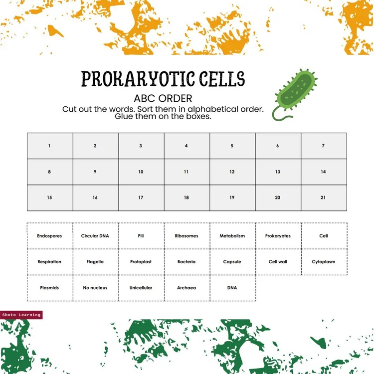 Prokaryotic Cell Mastery: Fill-in-the-Blank Worksheet