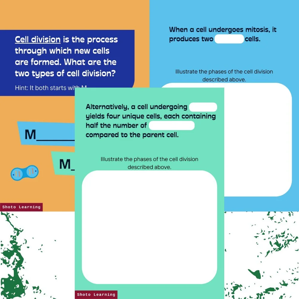 Mitosis vs Meiosis Poster: Visual Guide to Cell Division