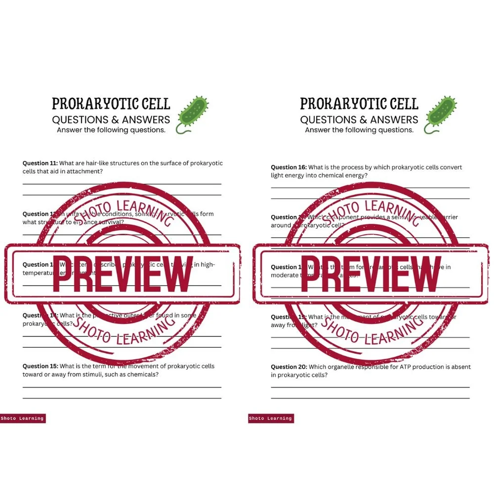 Prokaryotic Cell Mastery: Fill-in-the-Blank Worksheet