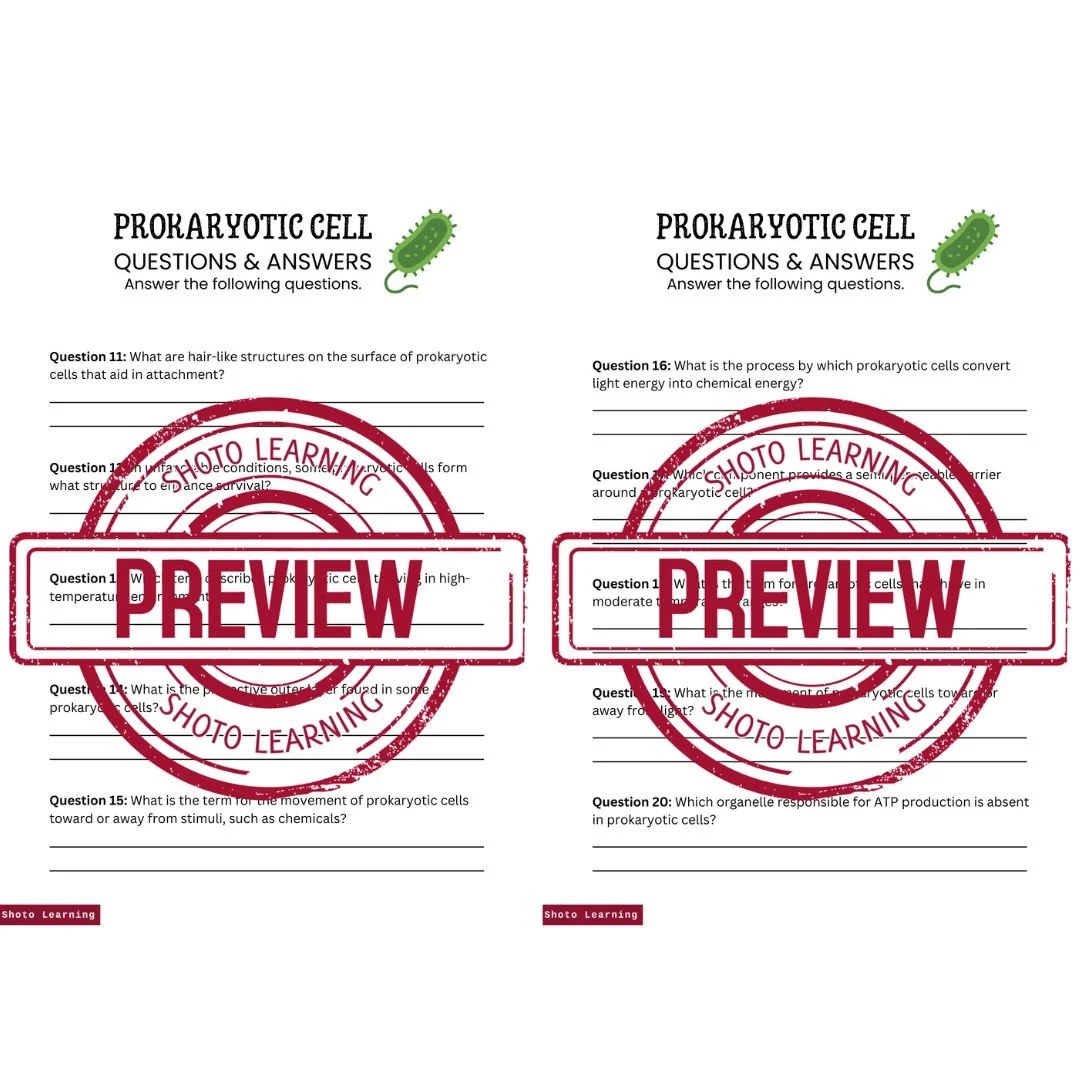 Prokaryotic Cells: PowerPoint, Speech, Video