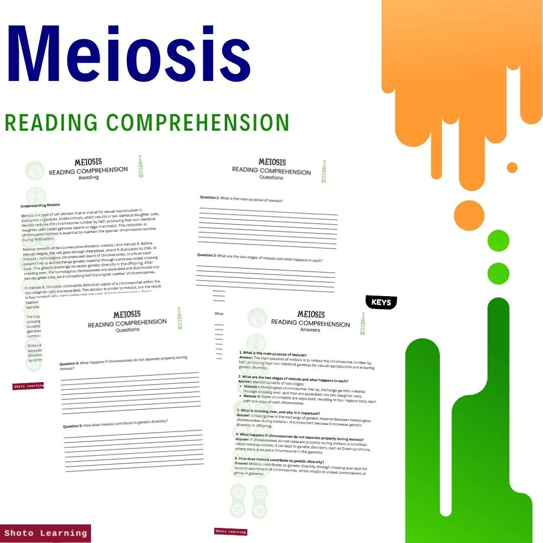 Meiosis Process Poster – Visual Cell Division Guide | PDF Download