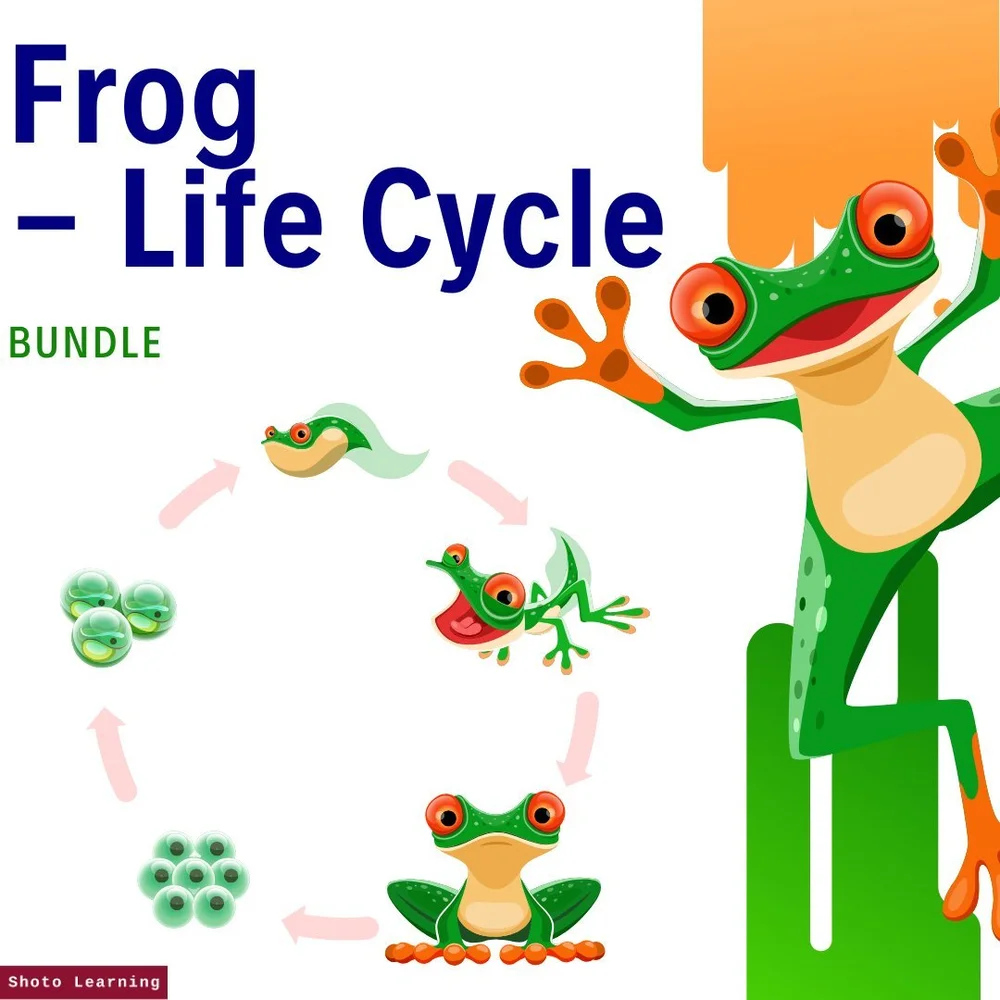 Frog Life Cycle Reading Worksheet with Questions & Answers