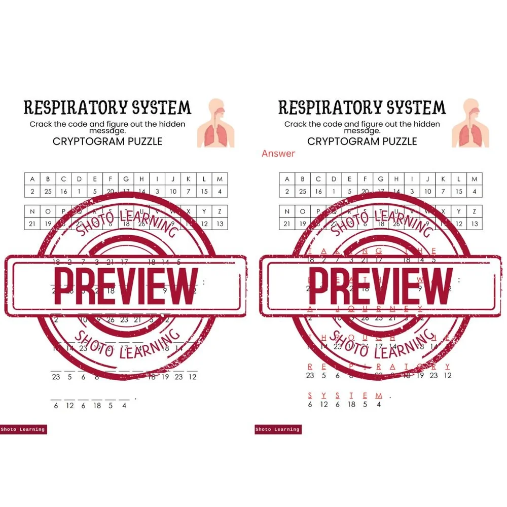 Respiratory System PowerPoint Lecture | Learn Now