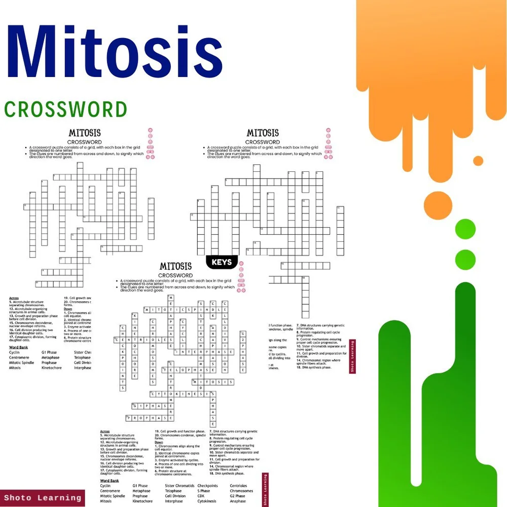 Mitosis Mystery Worksheet – Fun Missing Letter Activity