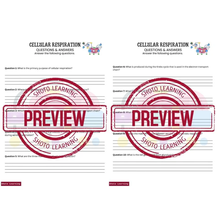 Cellular Respiration Label Worksheet | Word Box & Answer Key