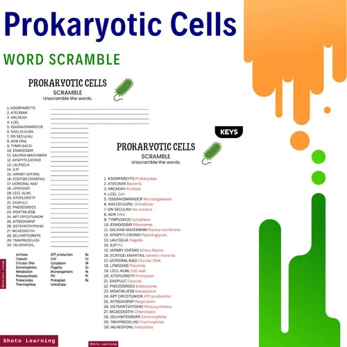 Prokaryotic Cell Q&A Mastery: 20 Questions & Answers