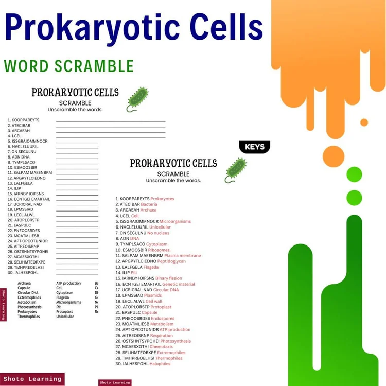 Prokaryotic Cell Q&A Mastery: 20 Questions & Answers
